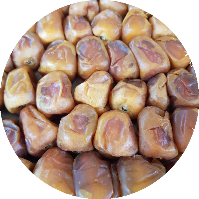 Tayiba Datte