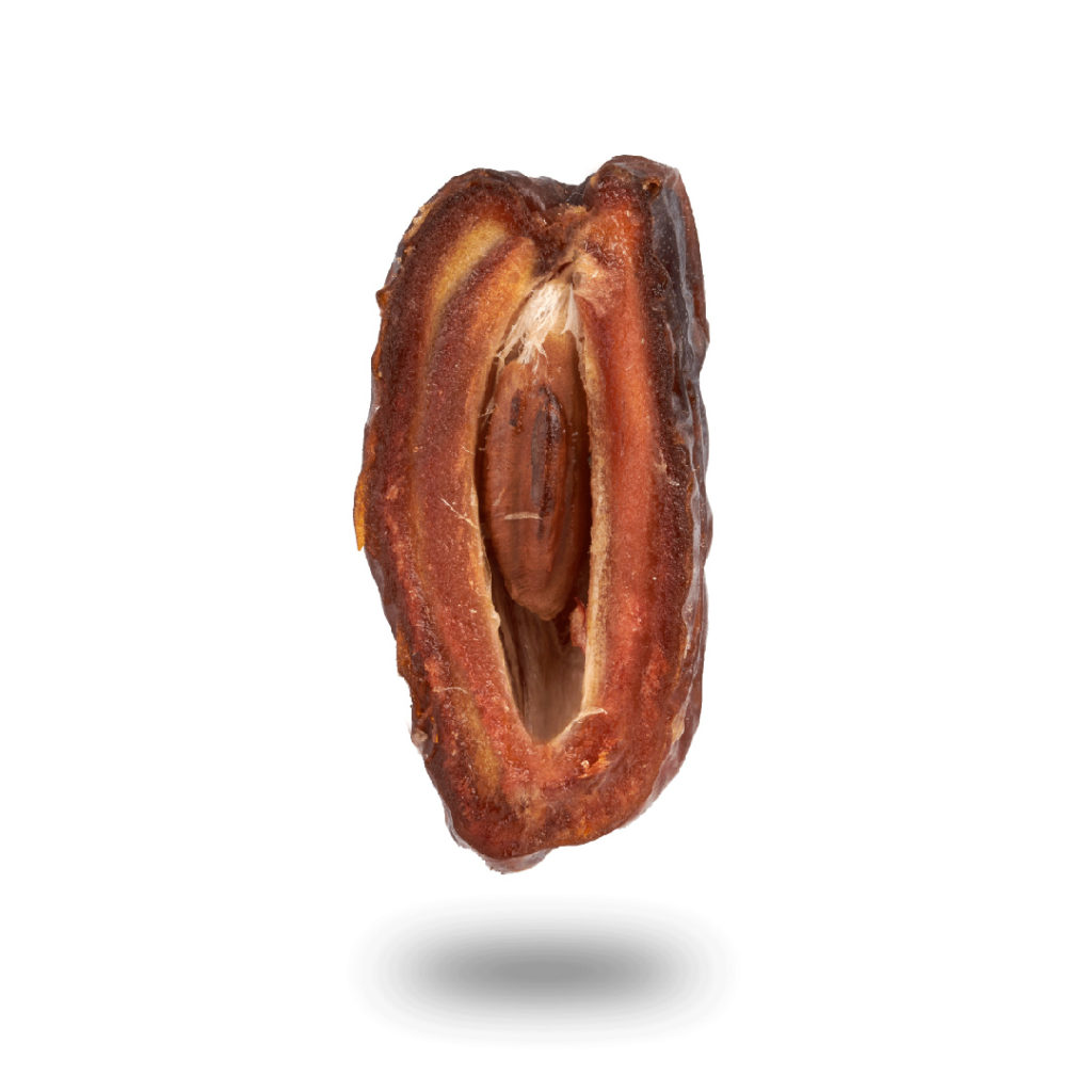 Khudry dates from Saudi Arabia - Tayiba Dattes